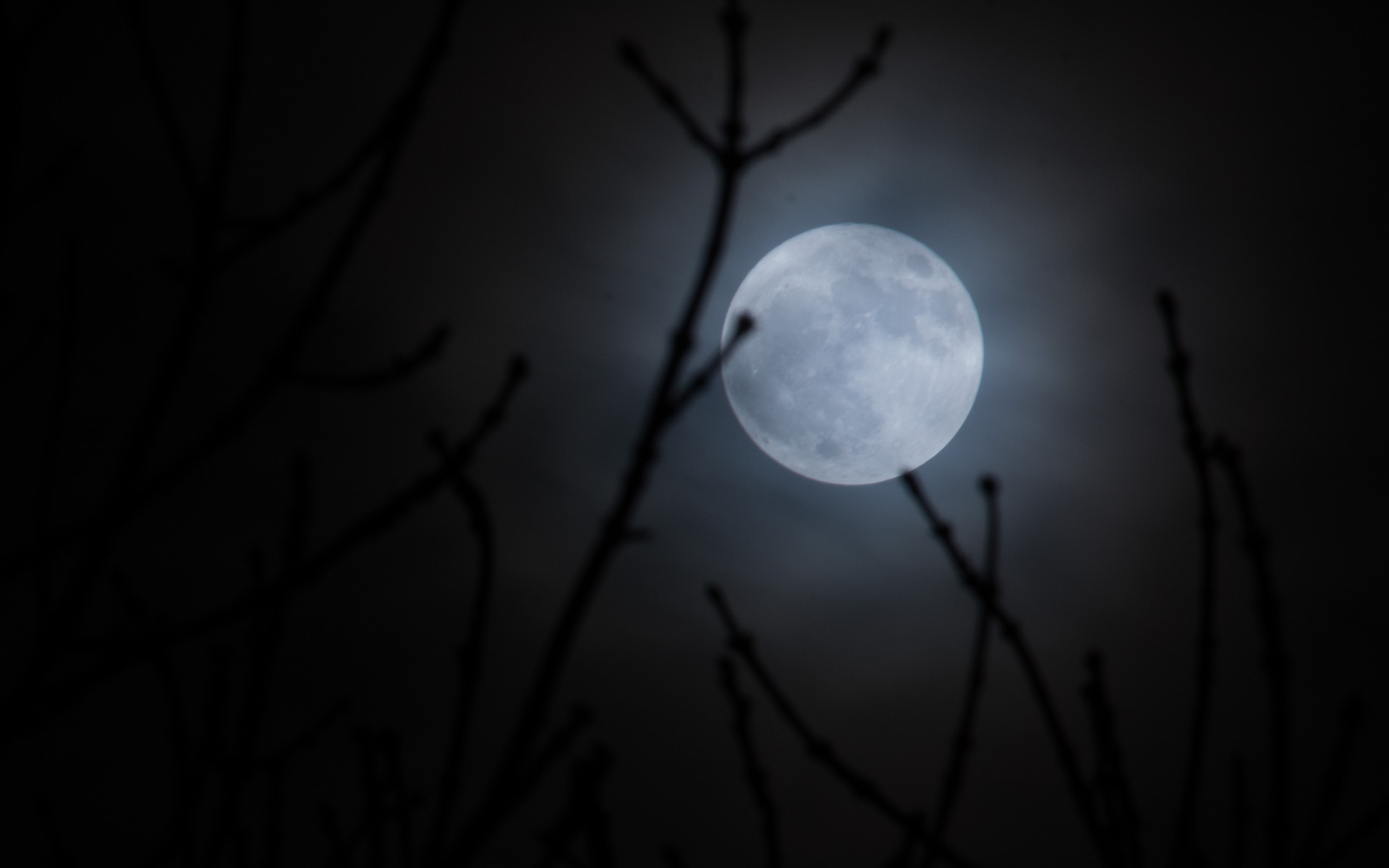 Comment observer la « super lune » ce soir (et pourquoi cette ...