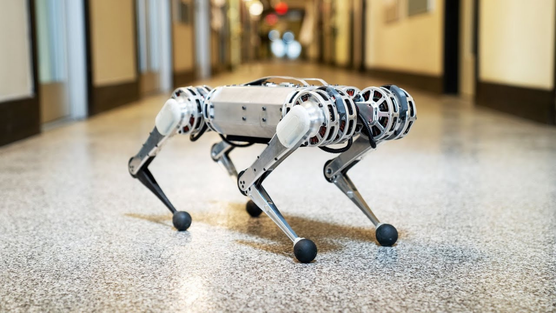 Mini Cheetah : ce robot créé par le MIT est capable de faire un salto ...