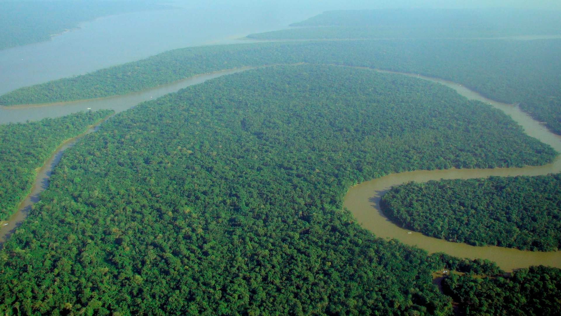 La forêt amazonienne est en feu et Google ne parle que de tablettes Amazon