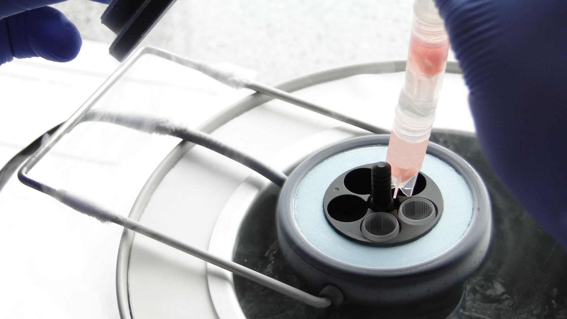 Après 30 000 ans, ces vers sont revenus à la vie : à quand la ...