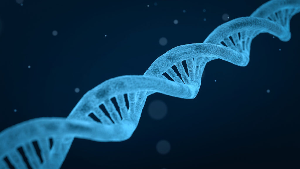 La manipulation génétique sur les « bébés CRISPR » a-t-elle mis en ...