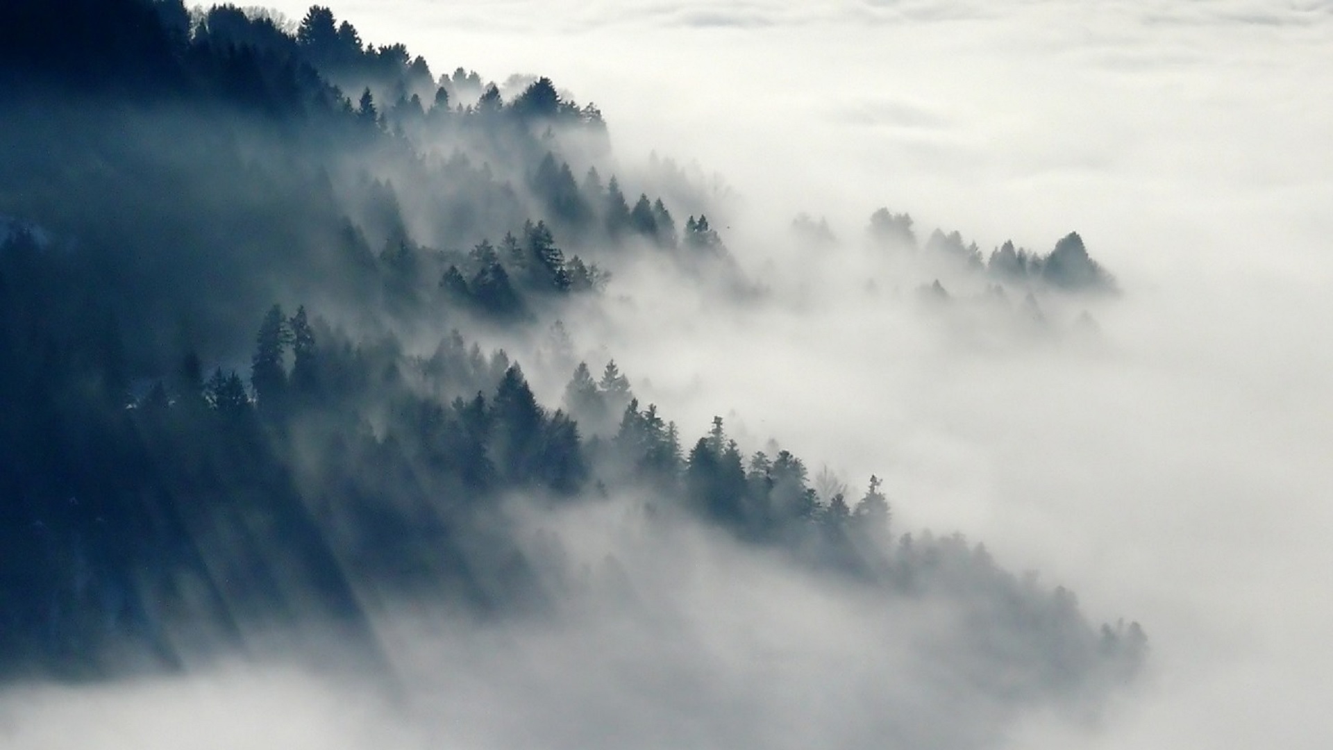 Mystérieux brouillard, été glacial : l'an 536 a été la pire année ...