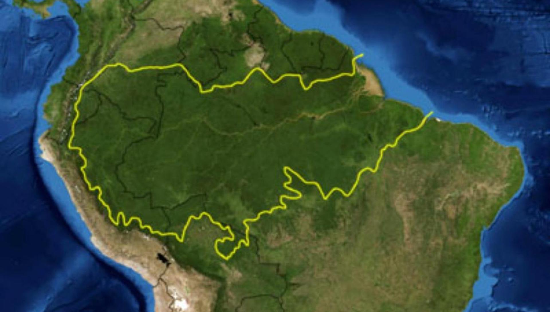 La forêt amazonienne est en feu et Google ne parle que de tablettes Amazon